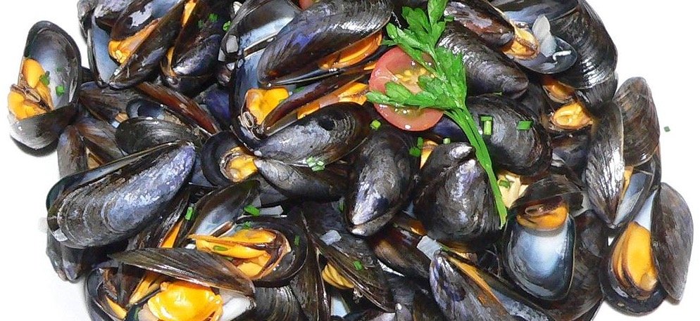 Vinos+Tapas. A San Miguel restaurant flexes its mussels. | Don Day in SMA