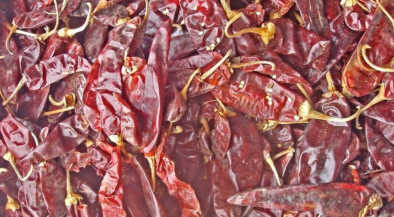 Chile peppers. The guide to the dried. | Don Day in SMA