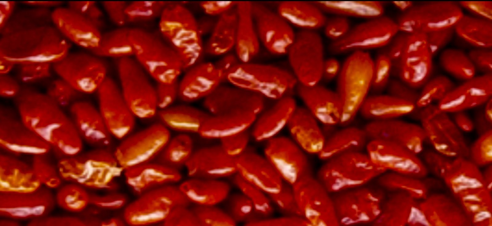 Chile peppers. The guide to the dried. | Don Day in SMA