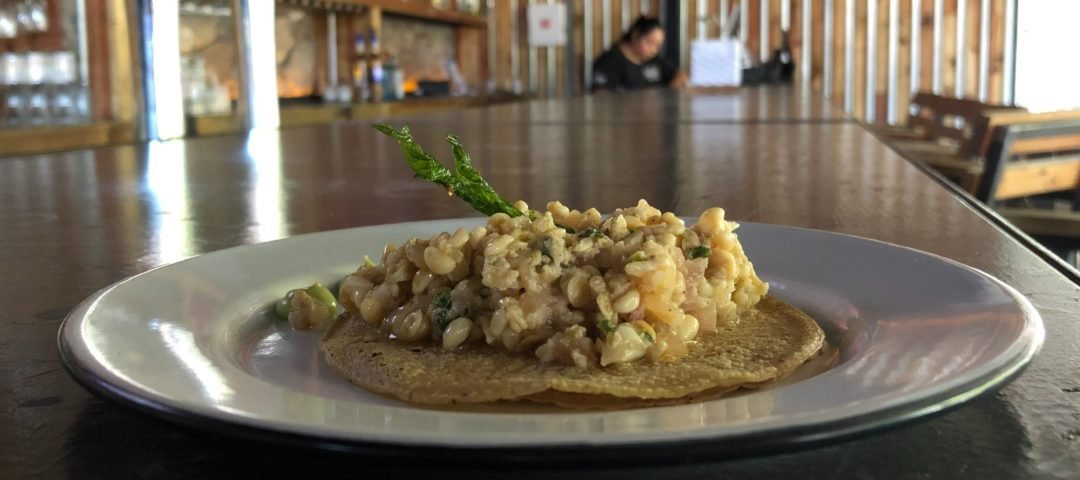 Climb on up. For a first class, cross country taco tour. | Don Day in SMA